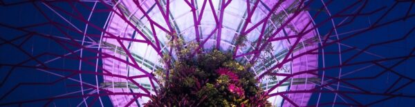 What Differentiates Natural & Synthetic Psychedelics? | Psychedelic Passage
