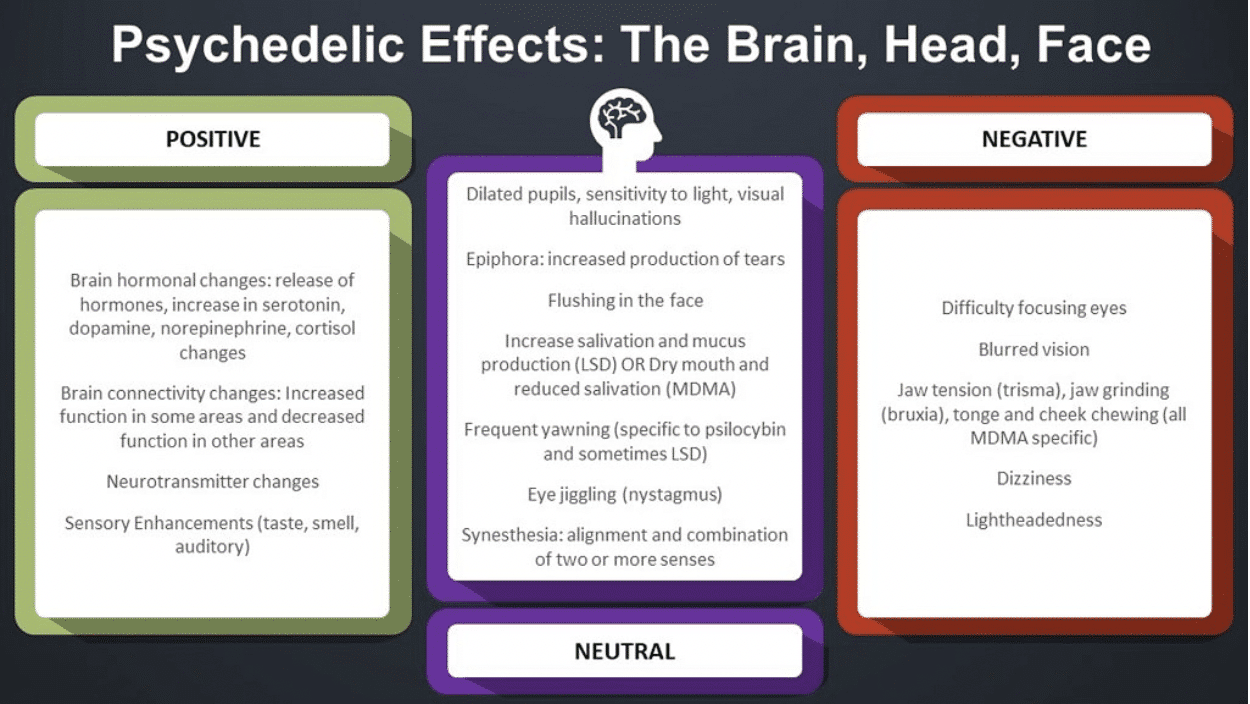 Psychedelics in the Body: A Head to Toe Guide of Effects | Psychedelic ...